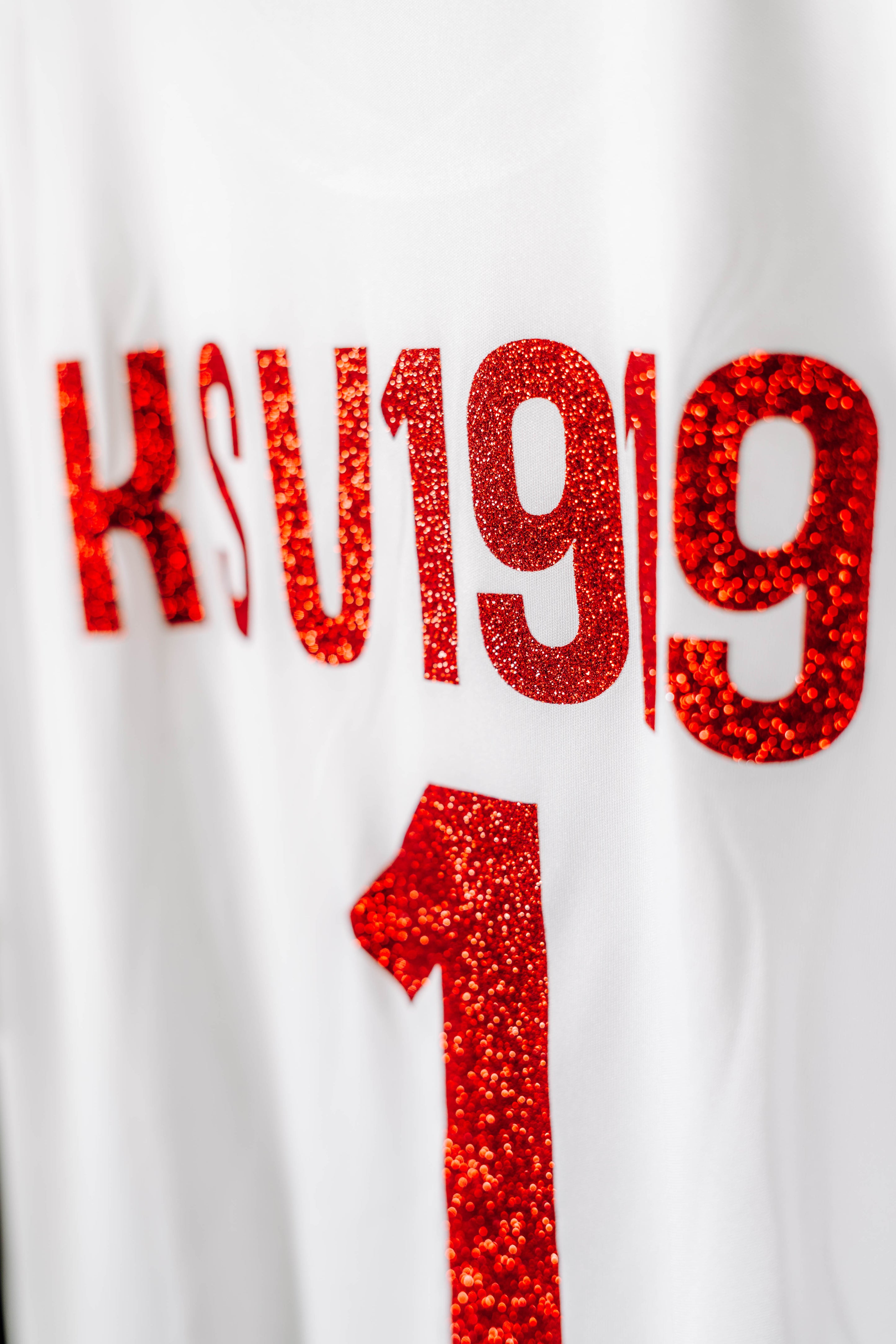 KSV1919 Fanshop – Falkenshop